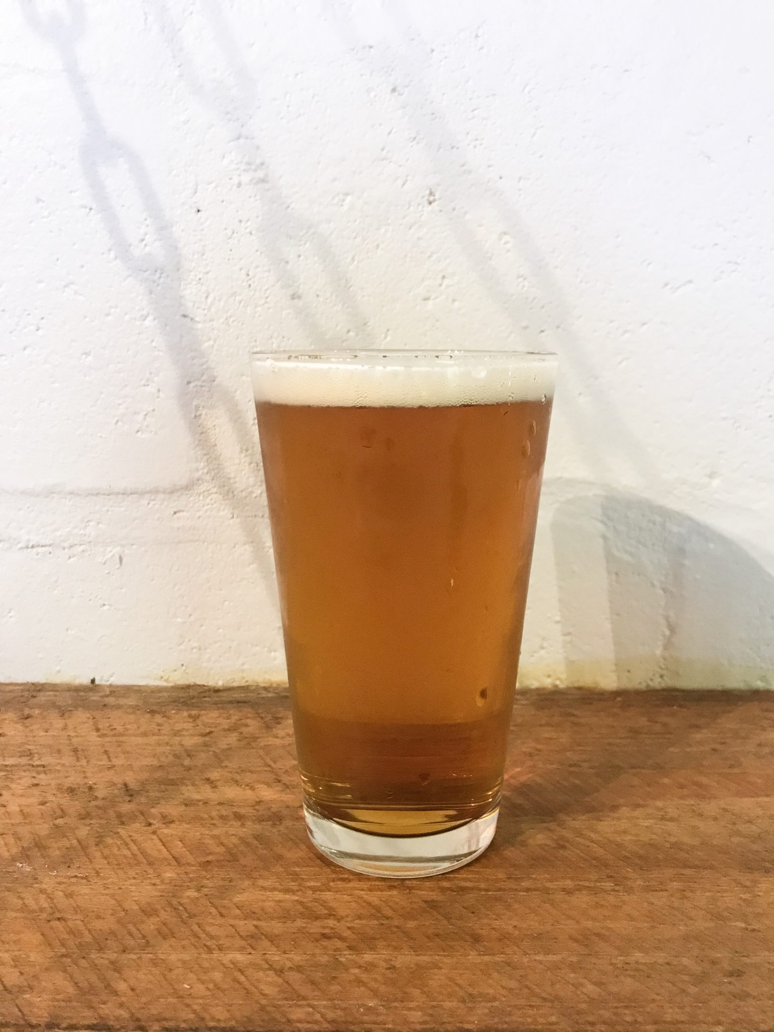 Avid Sunday Session – Avid Brew Co | St. Petersburg Foodies