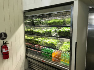 Greenstock – Chef-Inspired, Fast-Casual Salads from the Owners of IL ...