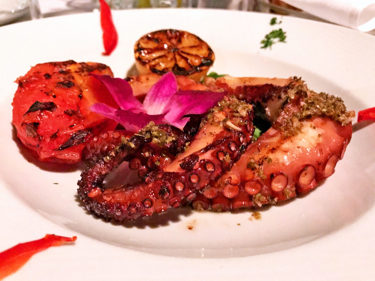 10 Best Octopus Dishes in St Petersburg & St. Pete Beach FL 2021