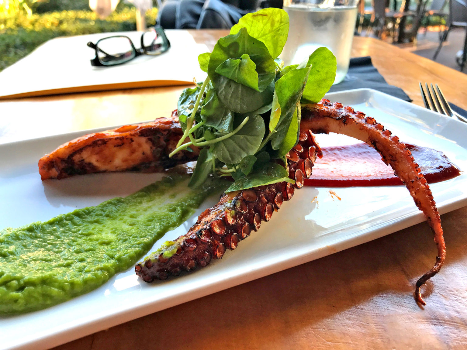 10 Best Octopus Dishes in St Petersburg & St. Pete Beach FL 2021