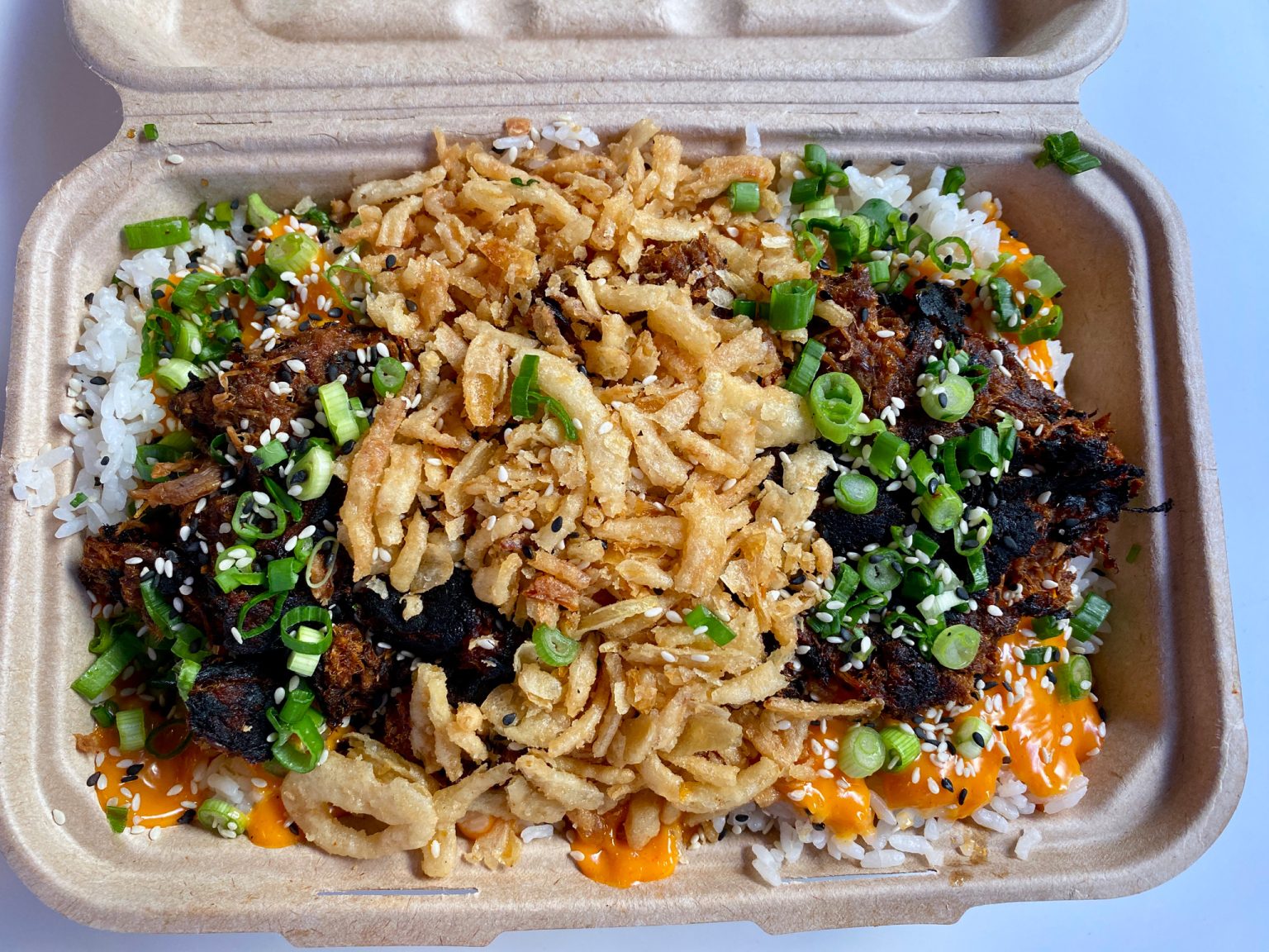 Shiso Crispy St. Petersburg FL Review May 2024