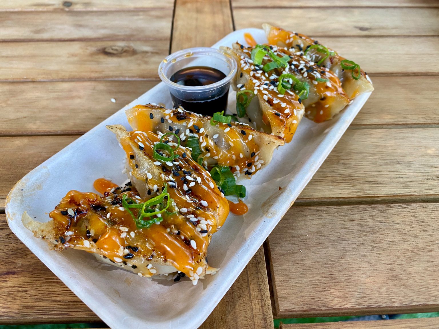 Shiso Crispy St. Petersburg FL Review May 2024