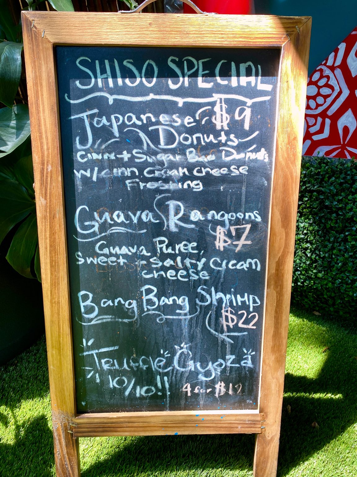 Shiso Crispy St. Petersburg FL Review May 2024