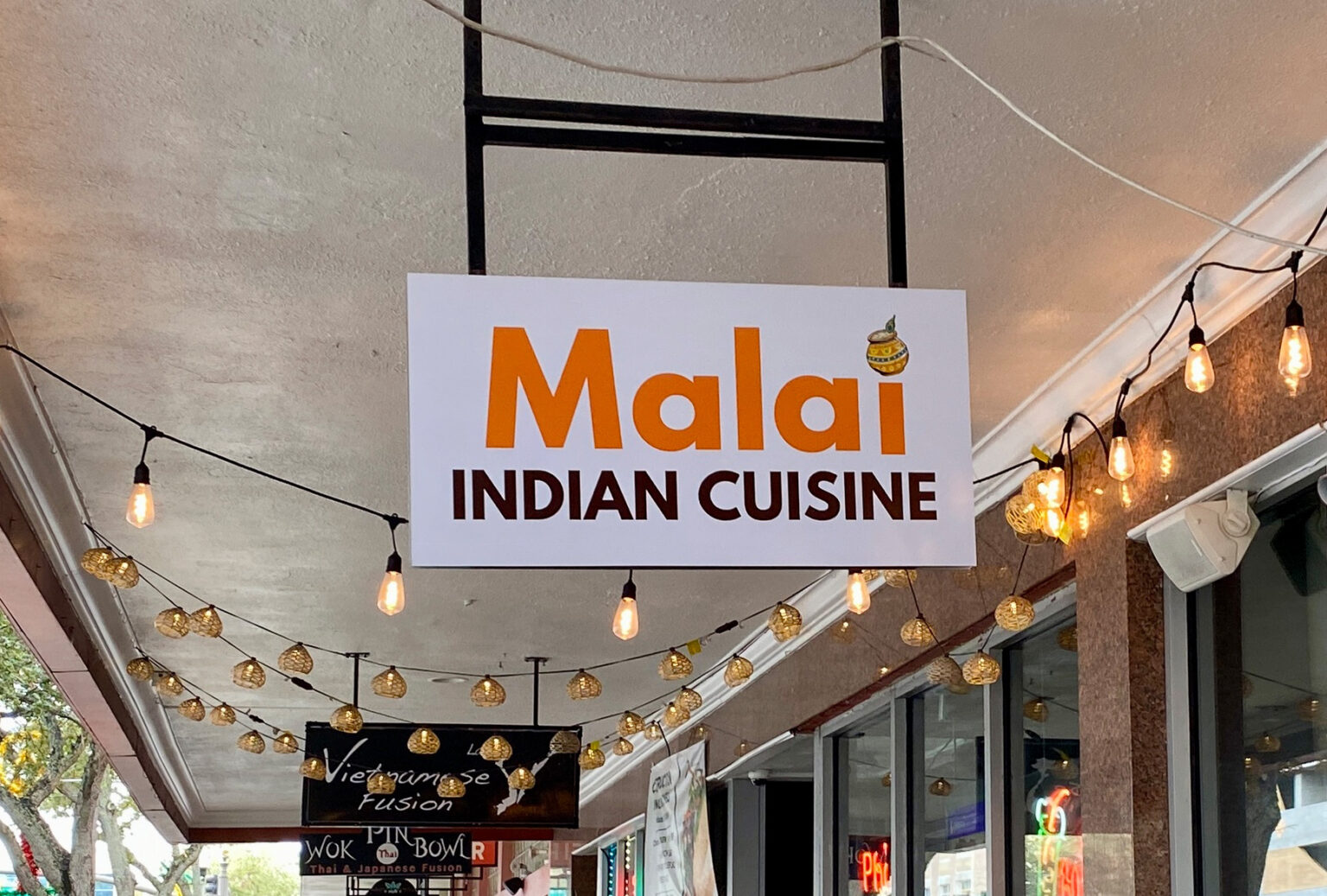 Malai Indian Cuisine St. Pete FL Review March 2025