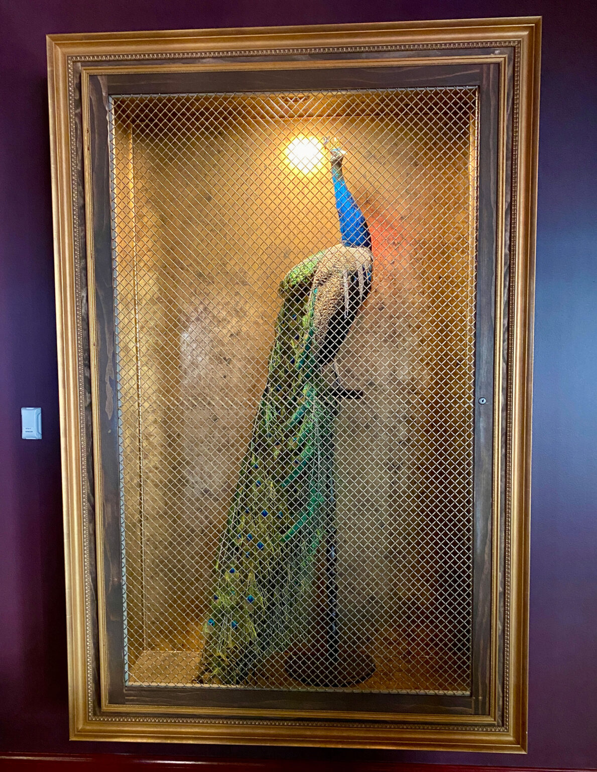 Red Thread St. Petersburg FL Review March 2025